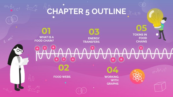 Chapter 5 Food Chains Unit Outline