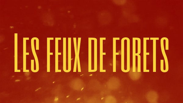 FIRE PRESENTATION | Genially