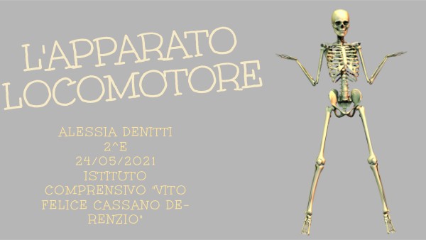 L'apparato locomotore | Genially