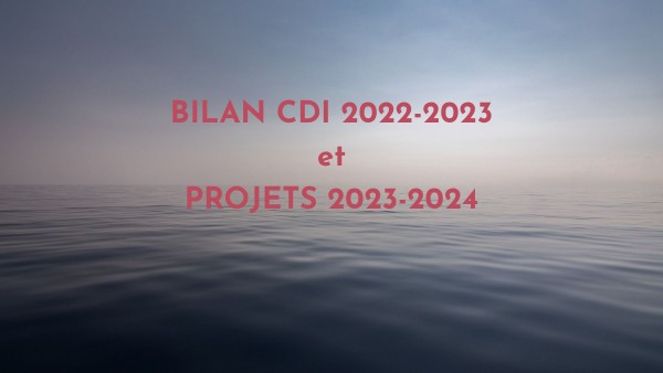 Bilan CDI 2022-2023 | Genially