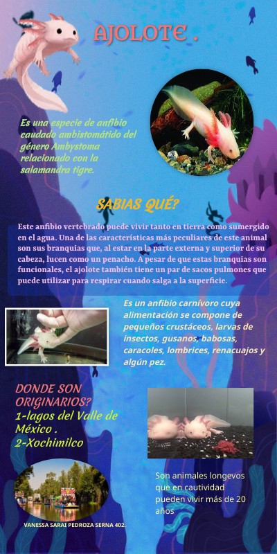 VANESS SARAI PEDROZA SERNA 402.BIDIVERSIDAD.