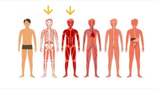 BODY PARTS | Genially