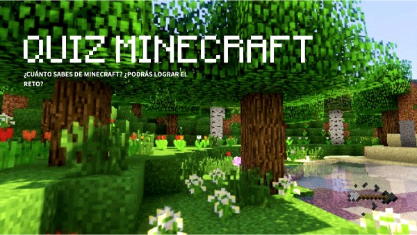 QUIZ MINECRAFT