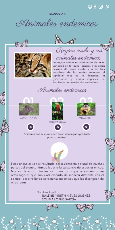 INFO VERTICAL ANIMLAES ENDEMICOS