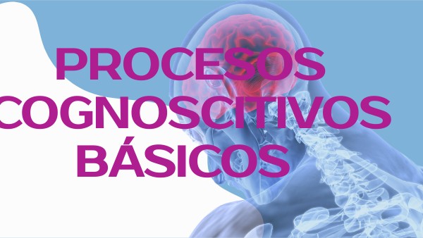 PROCESOS COGNOSCITIVOS BÁSICOS