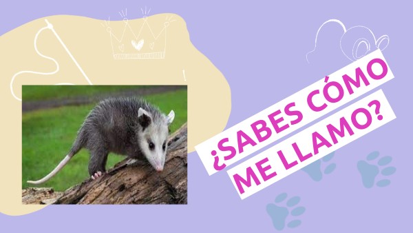 SINFÓN TL | Genially