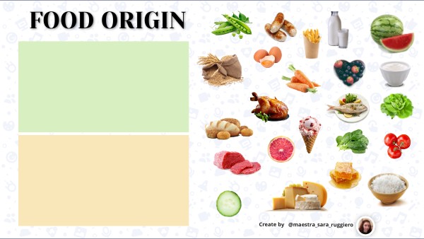 FOOD ORIGIN