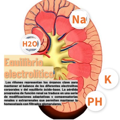 Equilibrio acido base | Genially