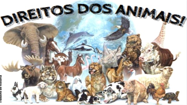 Copy - BASIC PRESENTATION