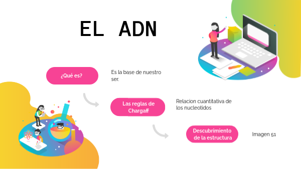 PRESENTACIÓN ADN ARN | Genially