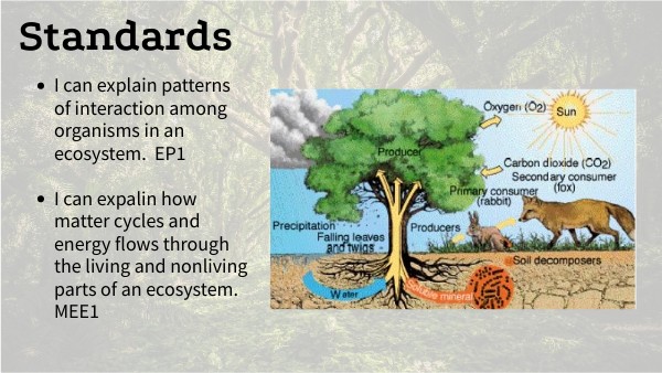 Ecosystem Standards