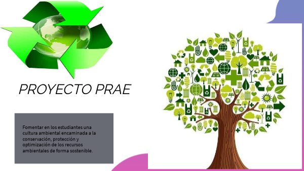 PROYECTO PRAE