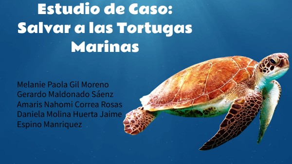 tortugas marinas