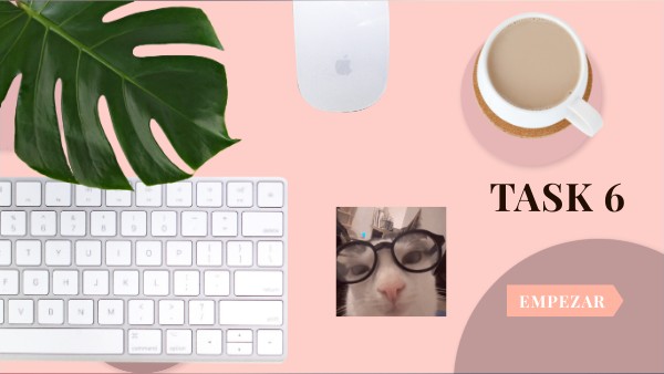 task 6