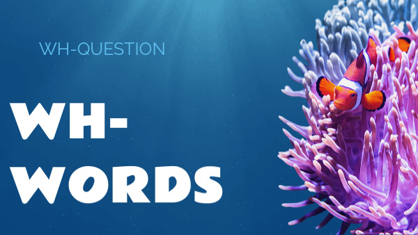 WH-QUESTIONS | Genially