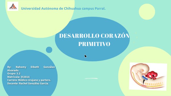 Desarrollo de corazón primitiva | Genially