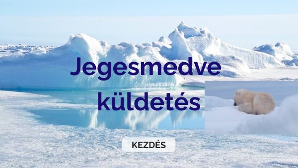 Jegesmedve küldetés