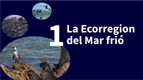 El mar frío | Genially