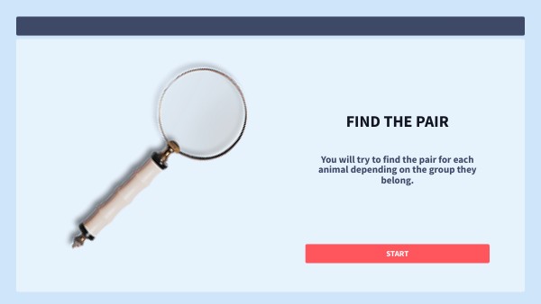 FIND THE PAIR - Animals