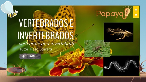 vertebrates and invertebrates | Genially