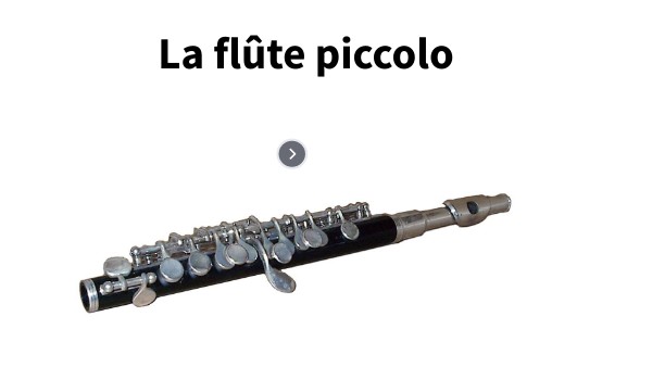 Le piccolo | Genially