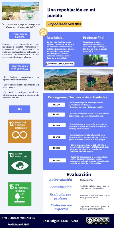 Una repoblación en mi pueblo (Lora Rivera, José Miguel)