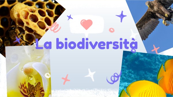 Biodiversità e api | Genially