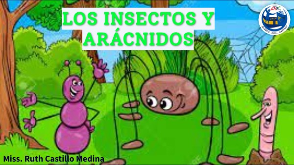 LOS INSECTOS Y ARÁCNIDOS