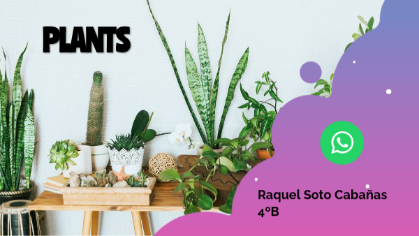 UNIT- 4 PLANTS (Raquel)