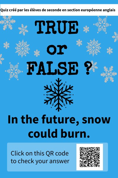 True or False affiche | Genially