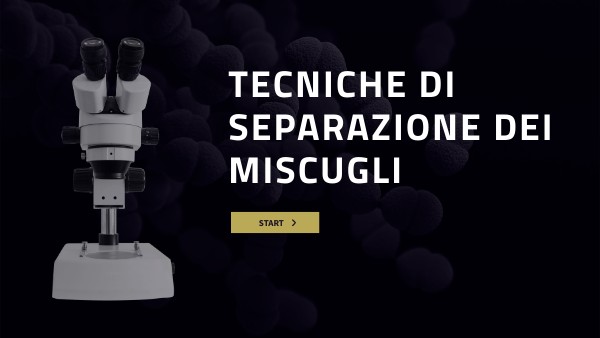 Microparticles Presentation