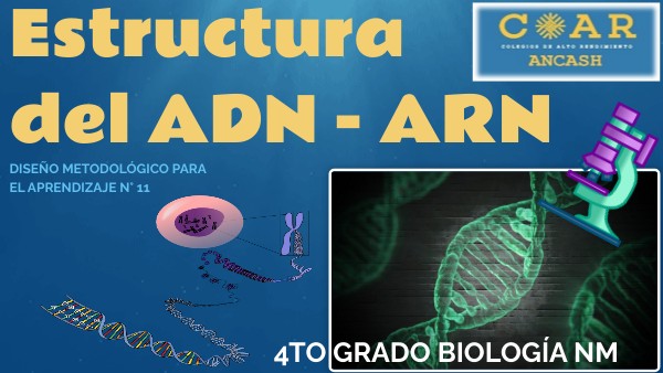 ESTRUCTURA DEL ADN-ARN | Genially