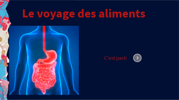 Mécanismes et bilan de la digestion | Genially