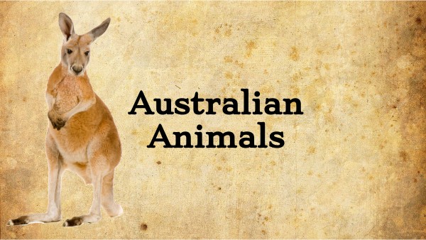 Australian animals