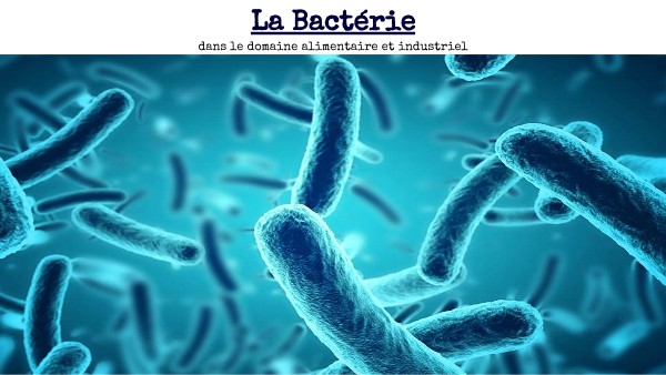 La Bactérie