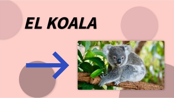 KOALA | Genially