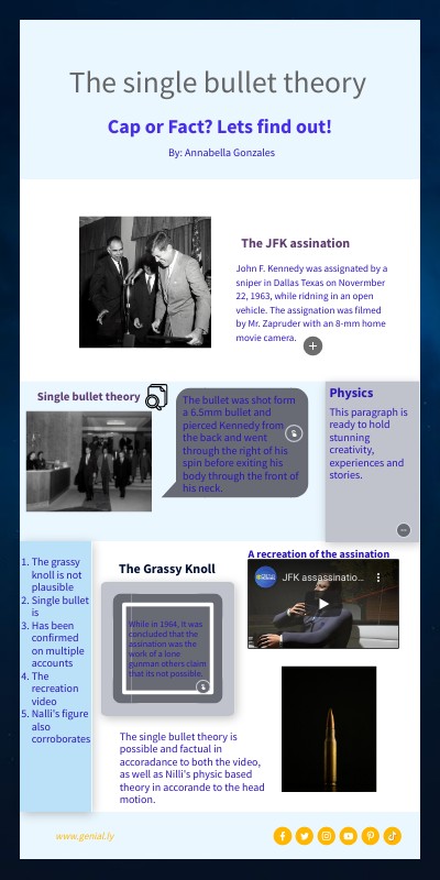 The Single Bullet theory