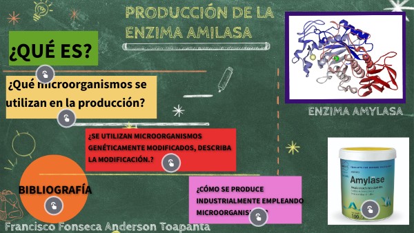 Producción de la amilasa | Genially