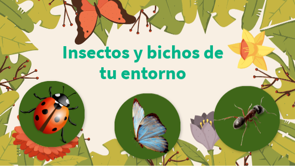 Insectos y bichos | Genially