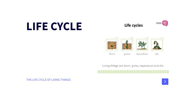 LIFE CYCLE QUIZ | Genially