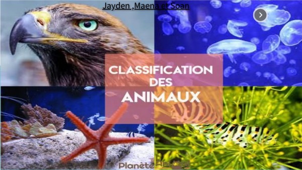 La classification des animaux | Genially
