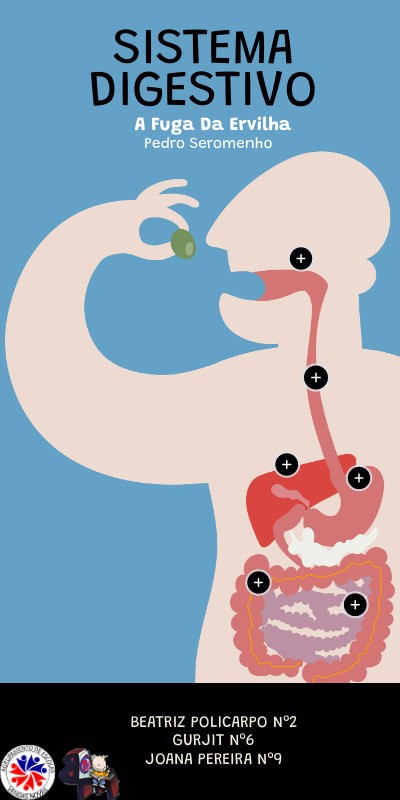 DIGESTIVE VERTICAL INFO | Genially