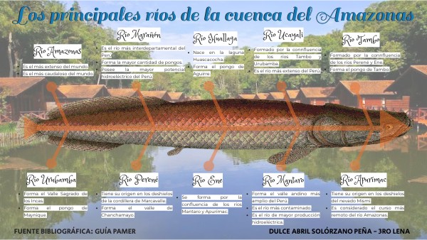 Los principales ríos de la cuenca del Amazonas | Genially