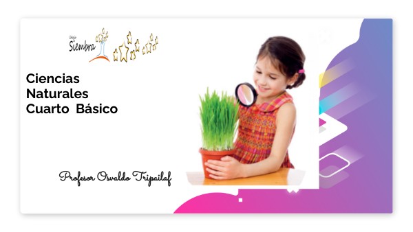 MODULO DE TRABAJO CUARTO BASICO INICIO | Genially