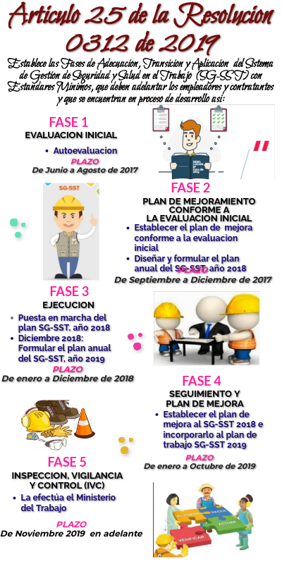 Infografía - Resolución 0312 | Genially