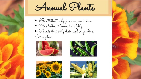 ANNUAL, AND PERENNIAL PLANTS.