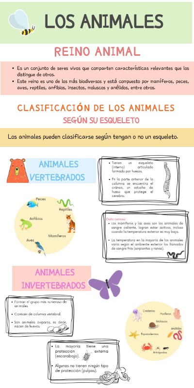 INFO CLASIFICACIÓN DE LOS ANIMALES | Genially