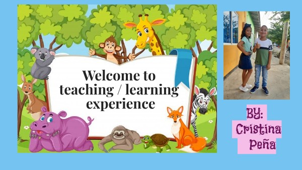 Learning and teaching experience