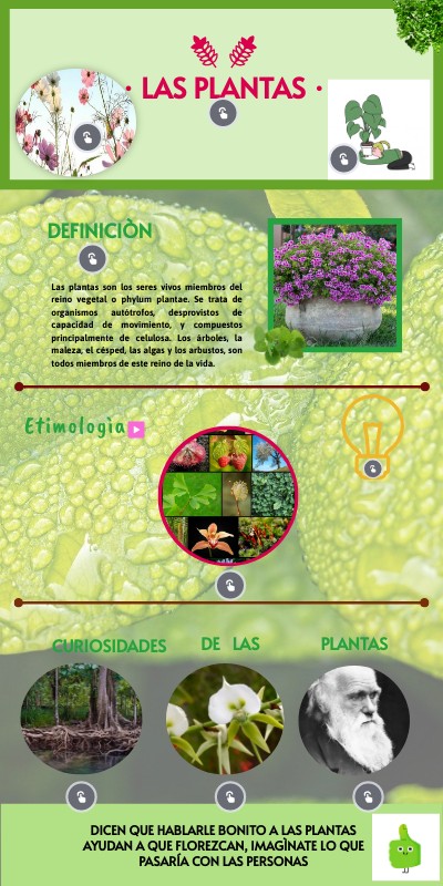 Definición de planta | Genially