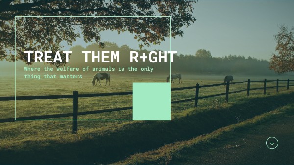 TREAT THEM R+GHT | Genially